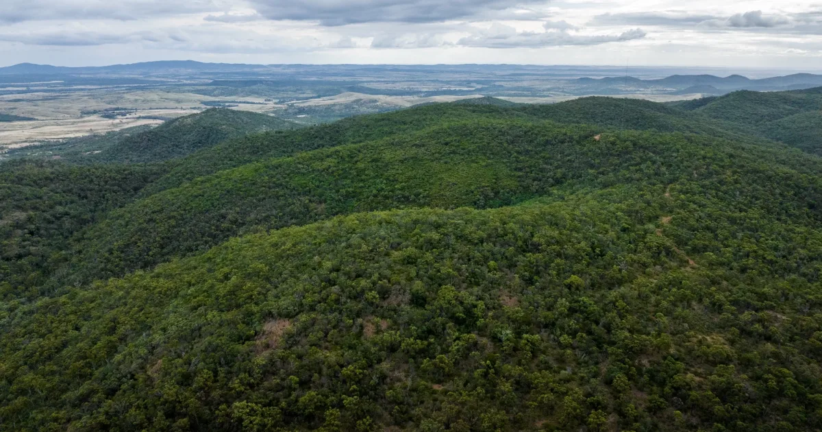 Aula Energy Awards Early Works Contract for Queensland’s Boulder Creek ...